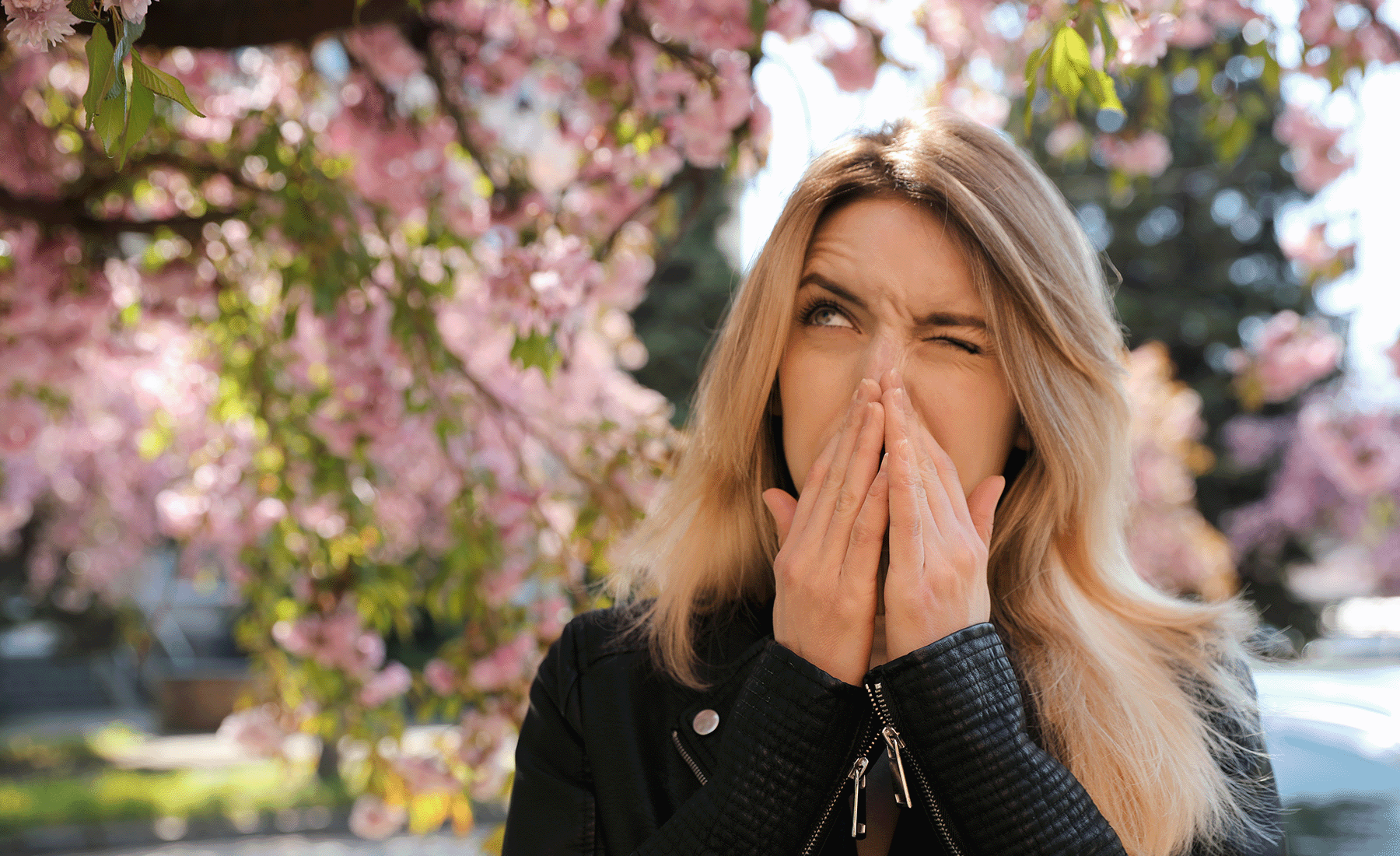 Managing Seasonal Sensitivities: Herbal Remedies for Natural Relief – Cedar Bear Naturales