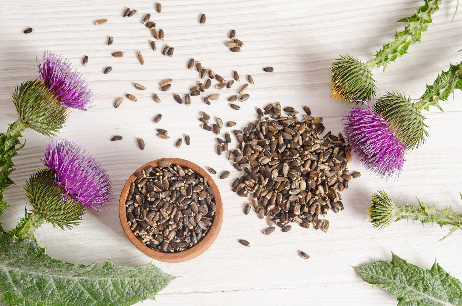 Herbs For Liver & Kidney Health - Natural Herbal Supplements – Cedar ...