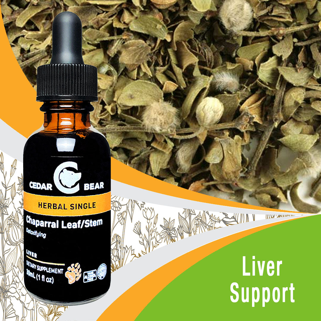 Chaparral Leaf | Herbal Tinctures | Digestive Supplements – Cedar Bear ...