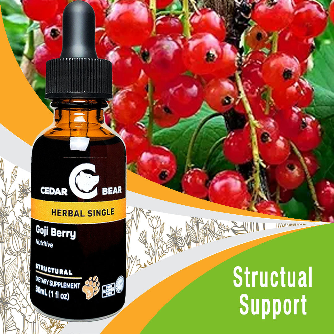 Goji Berry Supplement | Herbs for Energy | Natural Health – Cedar Bear ...